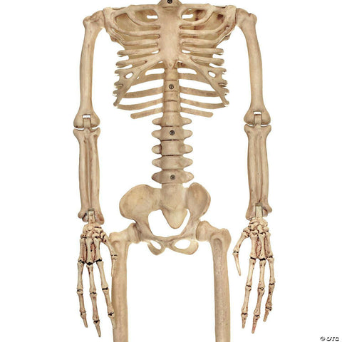 37" Poseable Alien Skeleton Decoration – AbracadabraNYC