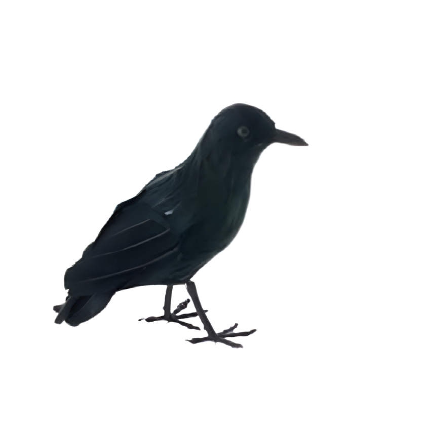 Large Standing Crow Prop – AbracadabraNYC