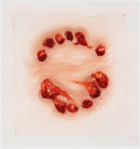 Tinsley Big Bite FX Water Transfer Prosthetic – AbracadabraNYC