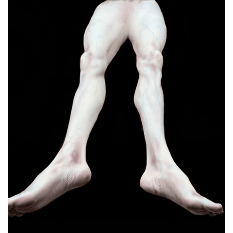Below The Belt Realistic Bottom Half Corpse Prop – AbracadabraNYC
