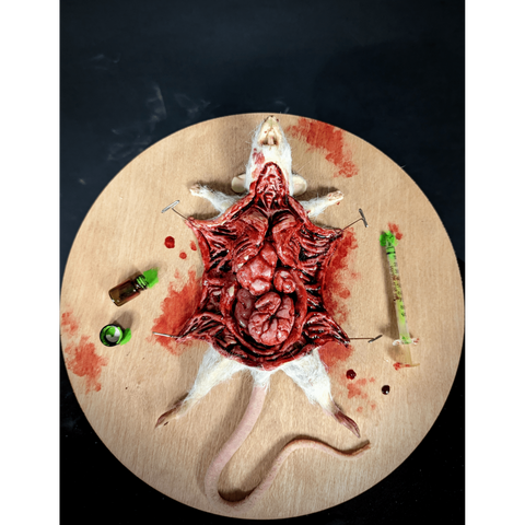 Rat Autopsy Prop – AbracadabraNYC