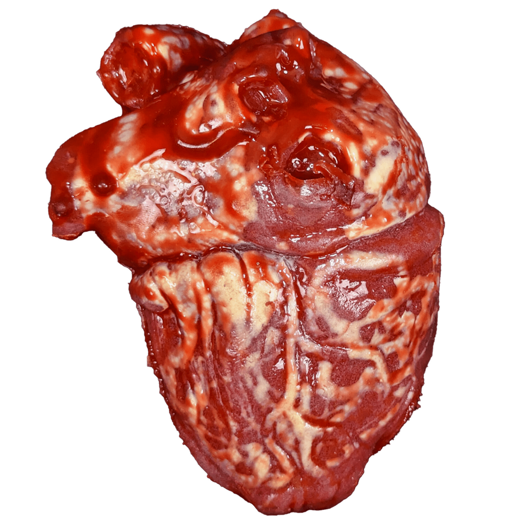 Realistic Urethane Bloody Heart Prop – AbracadabraNYC