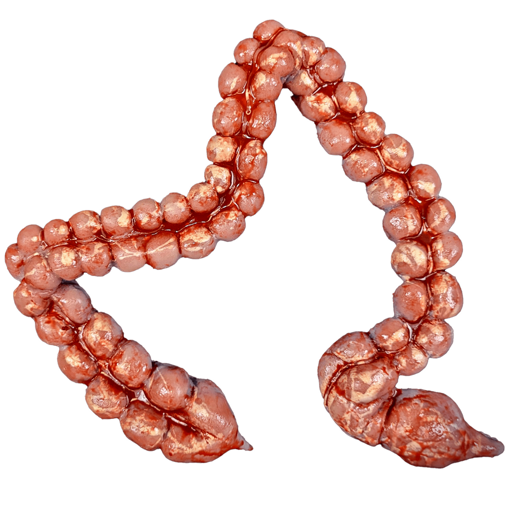 Realistic Urethane Bloody Intestines Prop – AbracadabraNYC