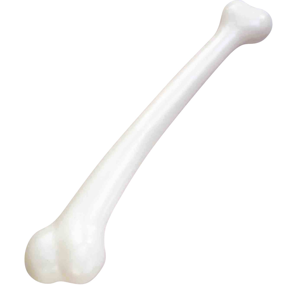 Jumbo Bone – AbracadabraNYC