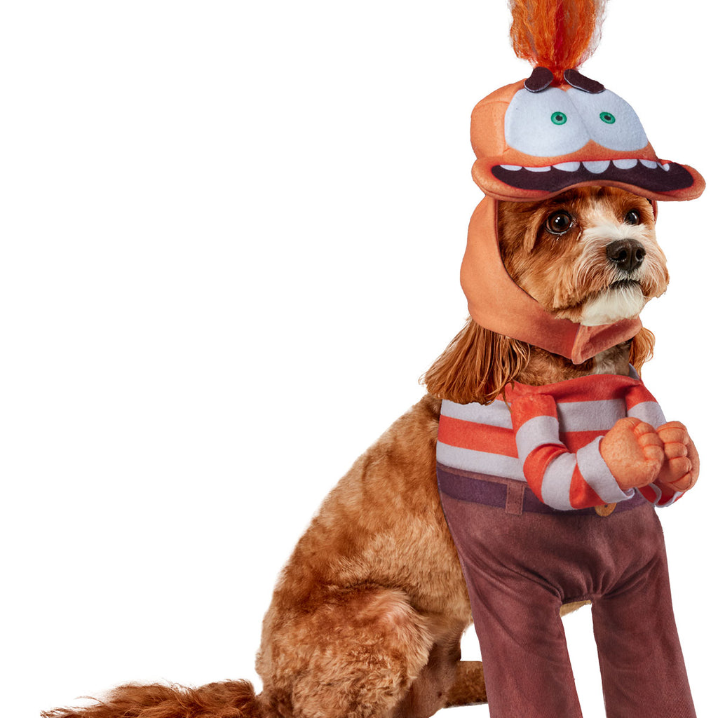 Inside Out 2: Anxiety Pet Costume – AbracadabraNYC