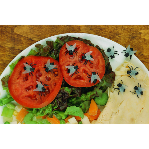 Realistic Plastic Flies (12 Pack) – AbracadabraNYC