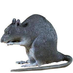 7" Standing Realistic Rat Prop – AbracadabraNYC